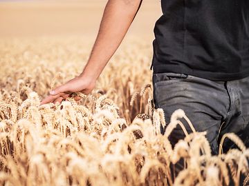 Technologie und Innovation | John Deere DE